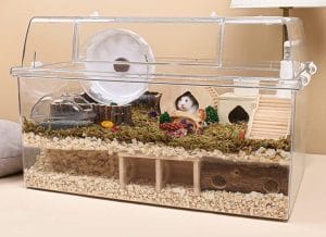 Which of the 4 Hamster Cage Types Is Best? Pros, Cons, and One You ...